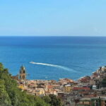 Amalfi Organic Lemon Tour & Wine Tasting - Why This Tour Stands Out