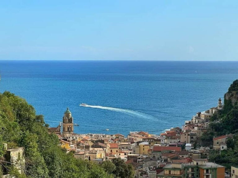 Amalfi Organic Lemon Tour & Wine Tasting - Why This Tour Stands Out