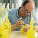 Amalfi: Vertical Lemon Farm Tour, Tastings, and Rural Museum - Final Thoughts