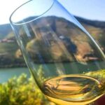 Amarante: e-Bike Tour and Vinho Verde - from Porto - The Lunch and Wine Experience