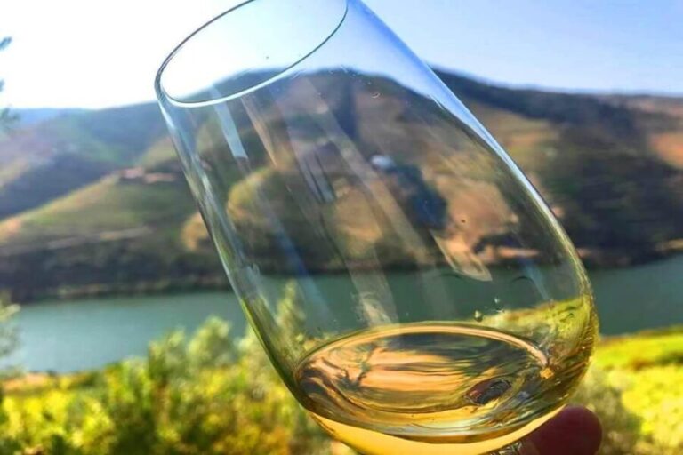Amarante: e-Bike Tour and Vinho Verde - from Porto - The Lunch and Wine Experience