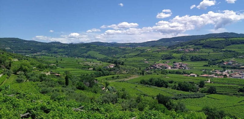 Amarone vertical tasting: A unique experience tasting different vintages of Amarone - What Makes This Tour Stand Out?