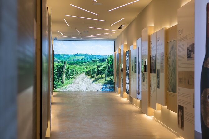 Amarone Wine Experience at Montresor winery - Introduction