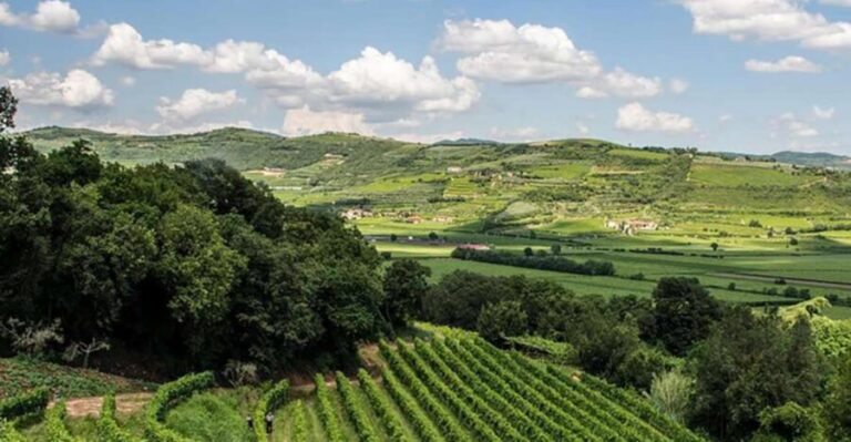 Amarone Wine Tasting Tour. Visit Verona. From Venice - The Value of This Tour