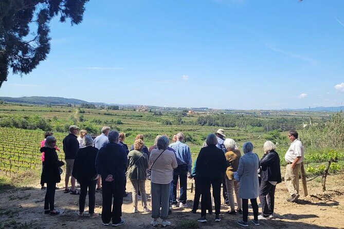 Amarone Wine Tour with 2 Wineries Lunch and Private Transfer - FAQ