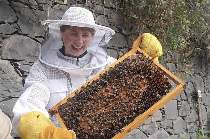 Amazing experience with Bees, honey and Pollen in Madeira Island - Why This Tour Offers Good Value
