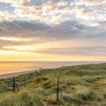 Amrum: Daytrip by boat to Sylt - Deep Dive into the Experience