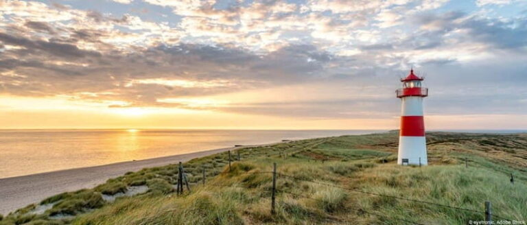 Amrum: Daytrip by boat to Sylt - Deep Dive into the Experience