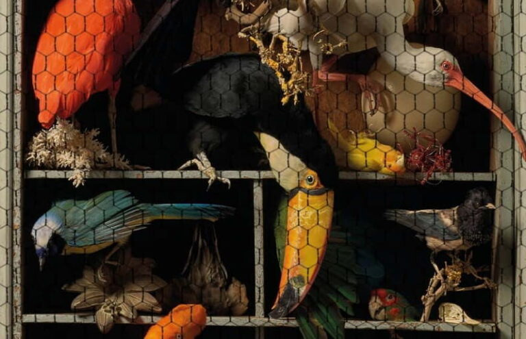Amsterdam: Art Zoo Museum Entry Ticket & Audio Tour - Whats Included and Whats Not