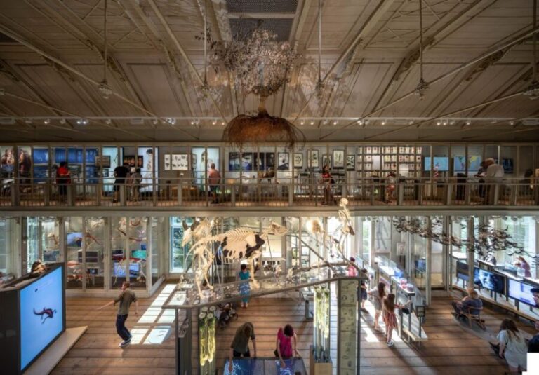 Amsterdam: ARTIS-Groote Museum Entry Ticket - What You Can Expect on Your Visit