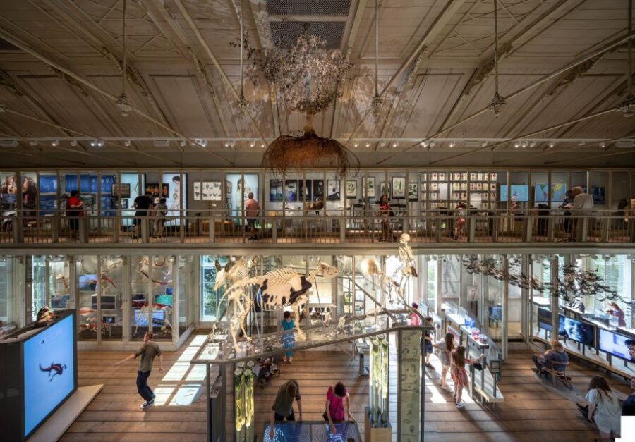 Amsterdam: ARTIS-Groote Museum Entry Ticket - What You Can Expect on Your Visit