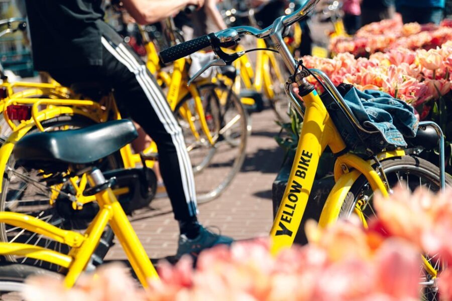 Amsterdam: Bike Rental - What You Get: The Rental Experience in Detail