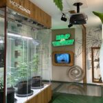 Amsterdam: Cannabis Museum Entry Ticket - The Sum Up