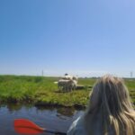 Amsterdam: Countryside Bike and Kayak Guided Tour - What’s Included & Practical Details