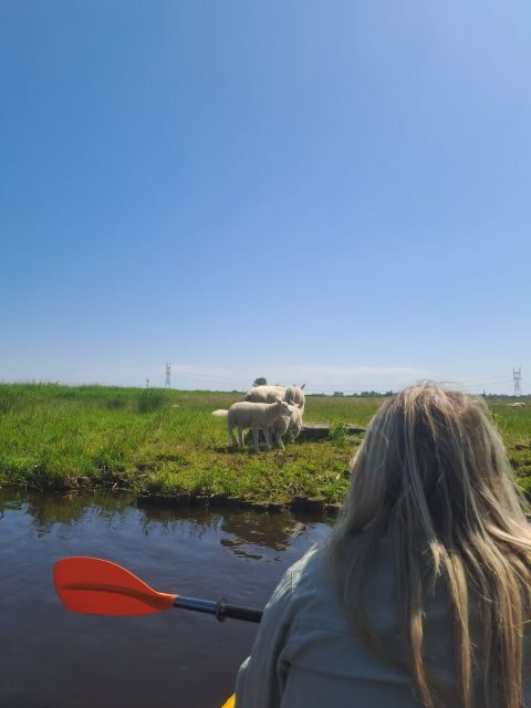 Amsterdam: Countryside Bike and Kayak Guided Tour - What’s Included & Practical Details