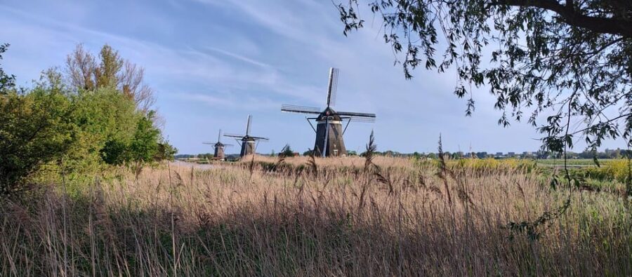 Amsterdam & Countryside Private Tour by premium car - Detailed Itinerary: Exploring the City and Country in One Day