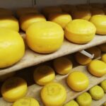 Amsterdam: Full-Day Countryside Tour - The Itinerary: From Waterways to Windmills