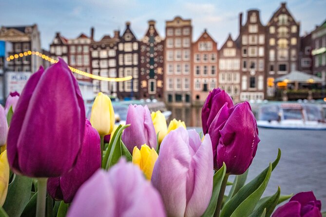 Amsterdam Highlights Walking Tour - Key Points