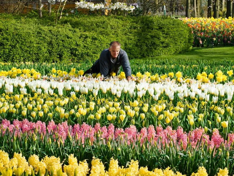 Amsterdam: Keukenhof Entry & Shuttlebus with Flexible Return - Keukenhof at Your Own Pace