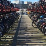 Amsterdam North Bike Tour - Authentic Experiences and Traveler Feedback