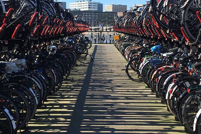 Amsterdam North Bike Tour - Authentic Experiences and Traveler Feedback