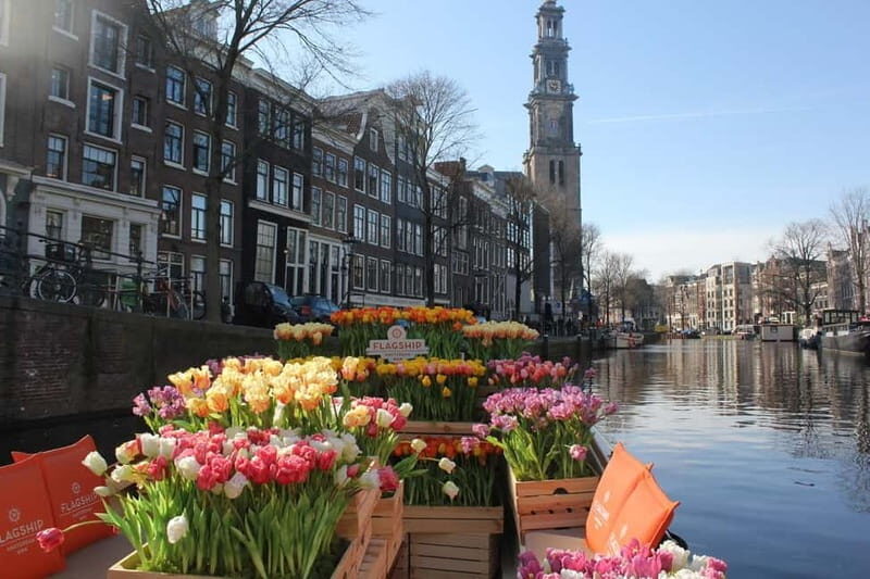 Amsterdam: Premium Tulip Boat Canal Tour - How the Itinerary Unfolds