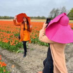 Amsterdam: Private Keukenhof and Free Tulip Tour - Why This Tour Works
