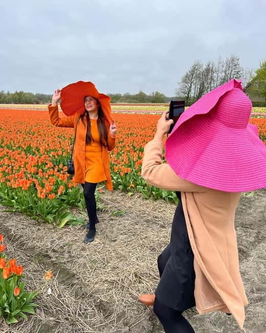 Amsterdam: Private Keukenhof and Free Tulip Tour - Why This Tour Works