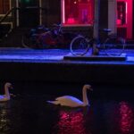 Amsterdam: Red Light District and Coffeeshop Culture Tour - Practical Considerations