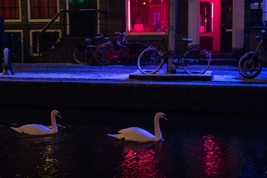 Amsterdam: Red Light District and Coffeeshop Culture Tour - Practical Considerations