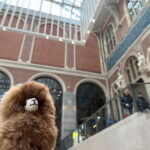 Amsterdam: Rijksmuseum Private Guided Tour & Entry Tickets - Key Points
