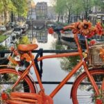 Amsterdam: Small Group Walking Tour with Fun Guide - What You Can Expect at Each Stop