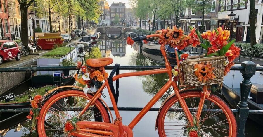 Amsterdam: Small Group Walking Tour with Fun Guide - What You Can Expect at Each Stop