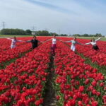 Amsterdam: Tulip Farm Visit, Keukenhof, and Windmill Cruise - What’s Included and What to Expect