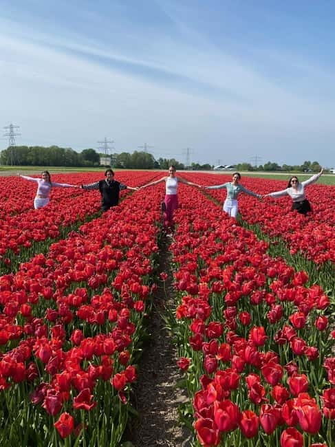 Amsterdam: Tulip Farm Visit, Keukenhof, and Windmill Cruise - What’s Included and What to Expect