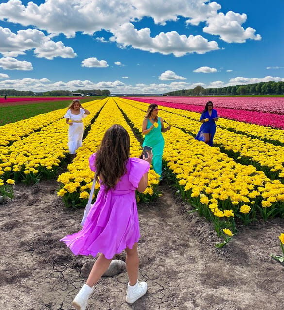 Amsterdam: Tulip Fields Day Tour with Lunch & Windmill - An Honest Look at the Value