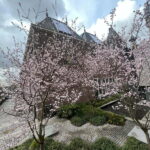 Amsterdam: Ultimate City Park Tour - The Value of This Tour