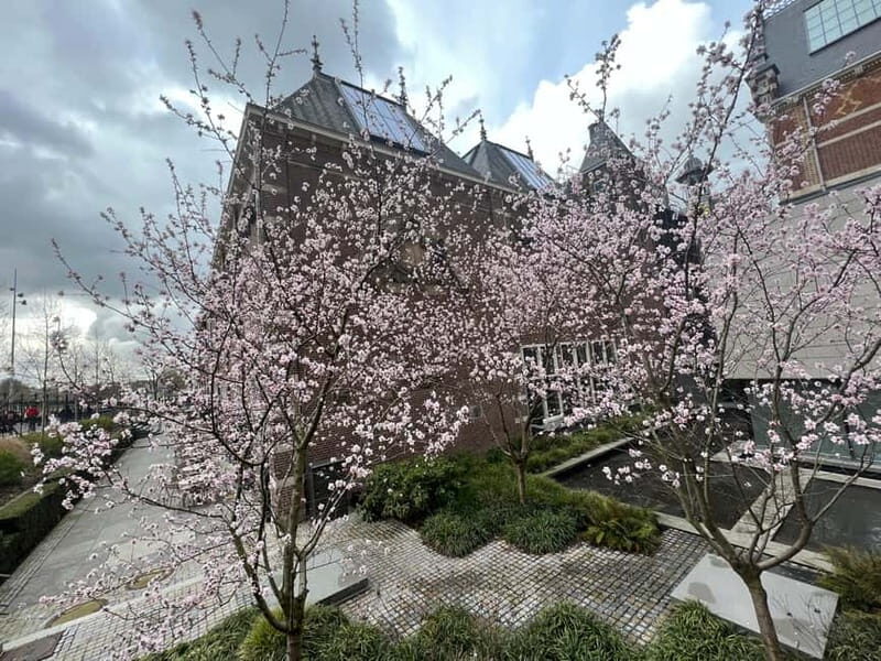 Amsterdam: Ultimate City Park Tour - The Value of This Tour