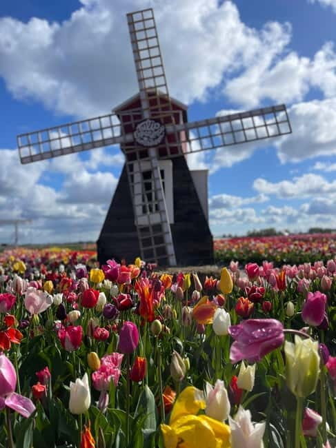 Amsterdam: Villages, Cheese, Windmills,Clogs &county site - What Makes This Tour Valuable?