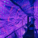 Amsterdam's Weirdest Museum: Believe It or Not! - Who Should Visit?