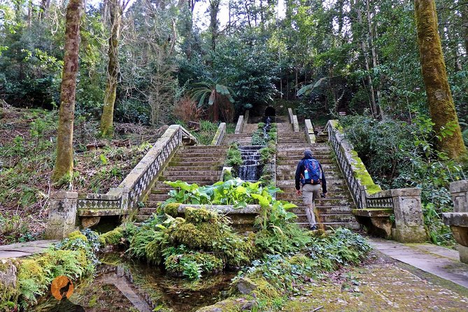 An adventure through the Forest and Palace of Bussaco - Coimbra - Key Points