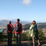 Anaga, La Laguna and Tacoronte-Acentejo - Forests, history and wines: VIP Tour - Who Will Love This Tour?