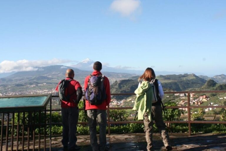 Anaga, La Laguna and Tacoronte-Acentejo - Forests, history and wines: VIP Tour - Who Will Love This Tour?