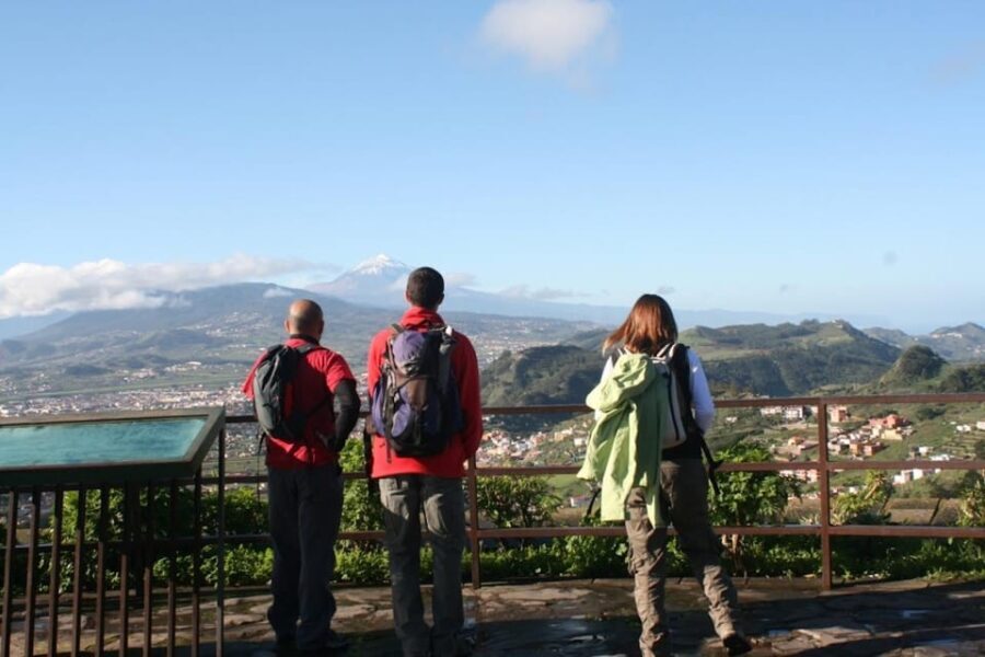 Anaga, La Laguna and Tacoronte-Acentejo - Forests, history and wines: VIP Tour - Who Will Love This Tour?