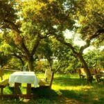 Andalucia Bull and Horse Farm and Ronda Private Tour from Malaga - An In-Depth Look at the Itinerary