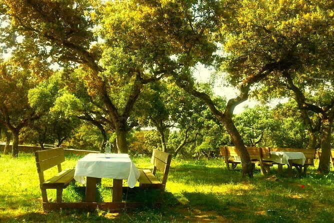 Andalucia Bull and Horse Farm and Ronda Private Tour from Malaga - An In-Depth Look at the Itinerary