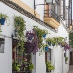Andalusia Express from Madrid 4 Day tour - What’s Unique About This Tour?