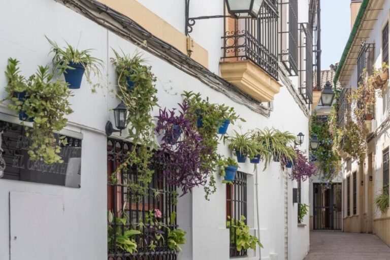 Andalusia Express from Madrid 4 Day tour - What’s Unique About This Tour?