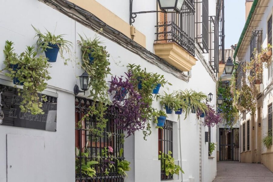 Andalusia Express from Madrid 4 Day tour - What’s Unique About This Tour?