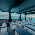 Andratx: Private cruise with skipper included along the coast of Andratx - The Sum Up